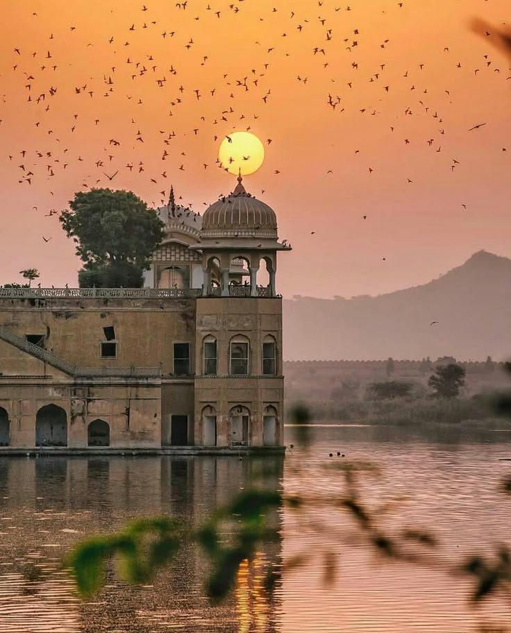 Jal Mahal Ticket Price & Visitor Guide | Explore Jaipur's Floating Palace